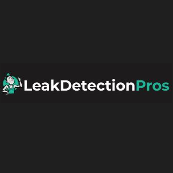 Leak Detection Pros Johannesburg, Gauteng - Plumber